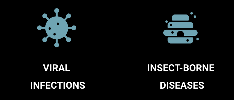UPSTREAM BIOTECH – Engineering crop resilience to change environments.